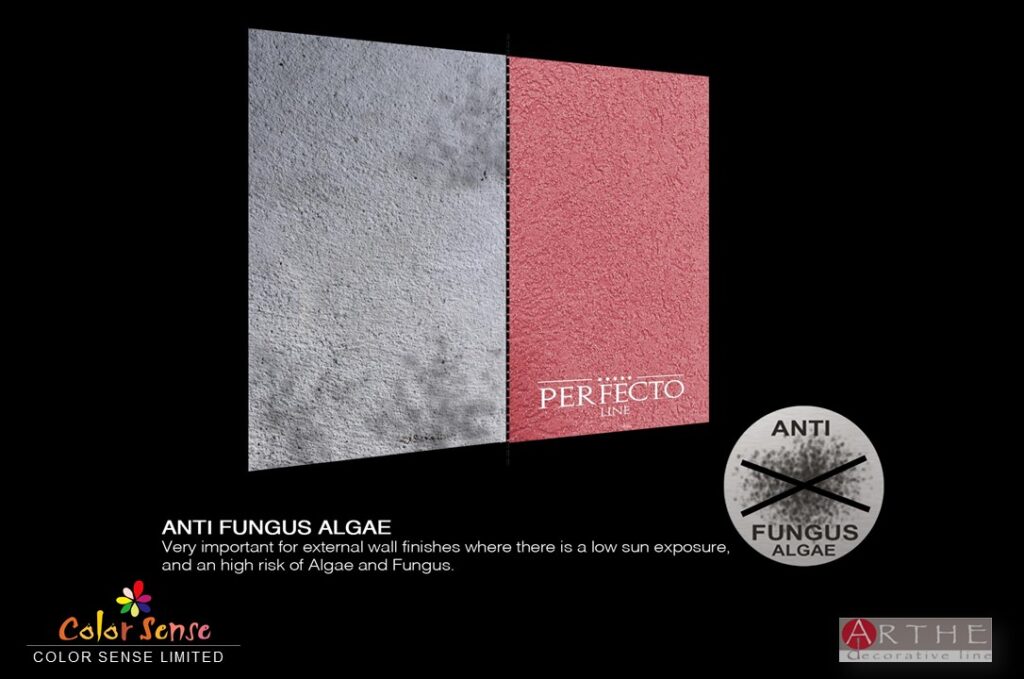 Weather and UV Rays-Resistance Paints and Coatings | Color Sense Limited